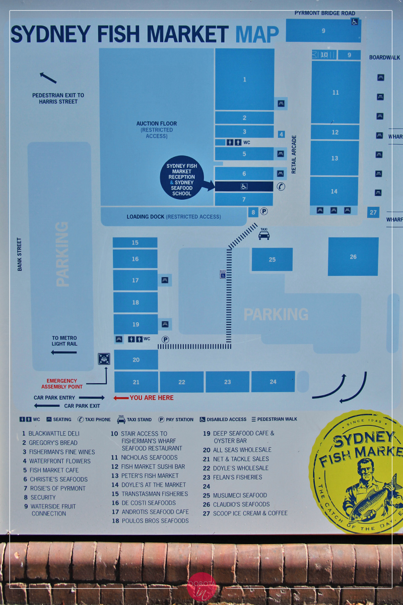 Sydney Fish Market - centrum sprzedaży ryb | Dorota Kamińska